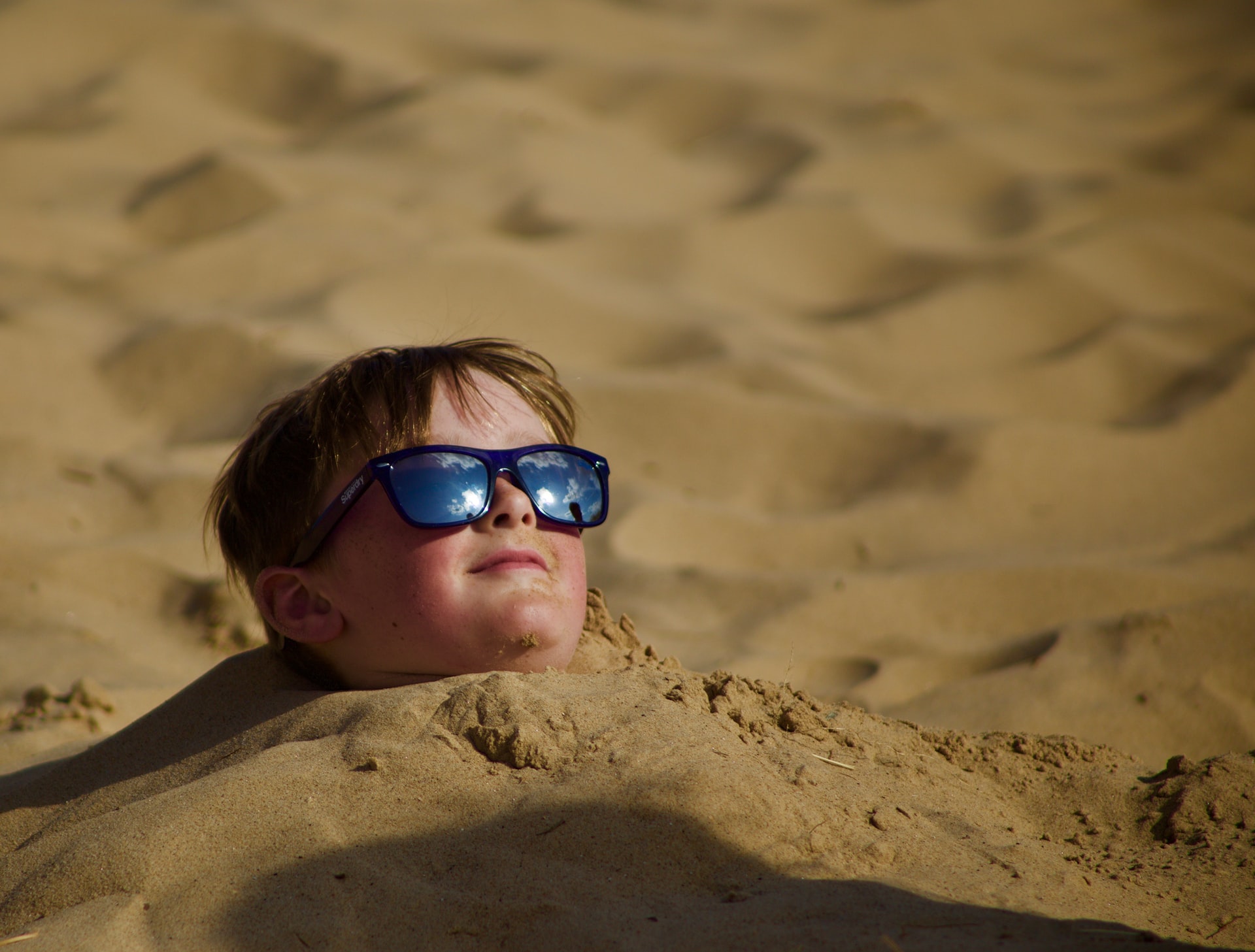 In or Out of the Sand? - The Living Planner
