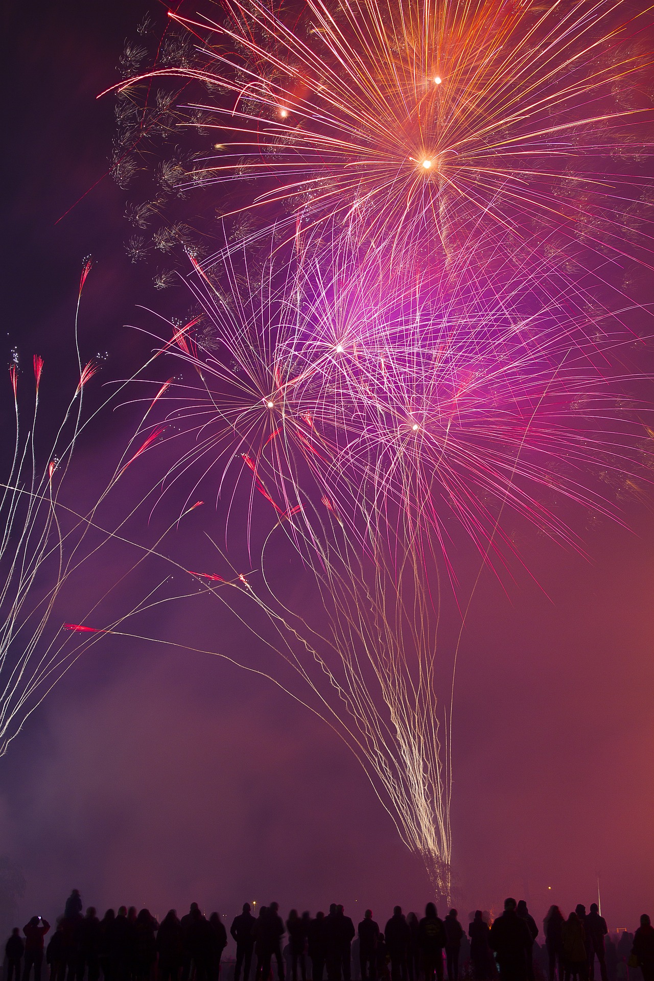 Embracing Independence - The Living Planner